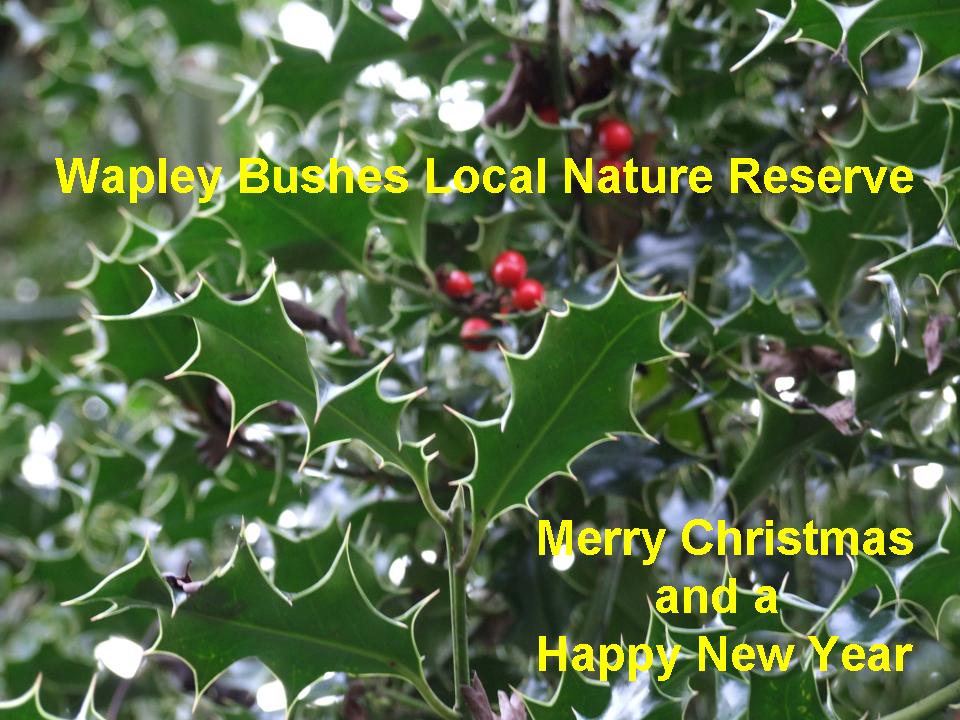 Home - Wapley Bushes Local Nature Reserve